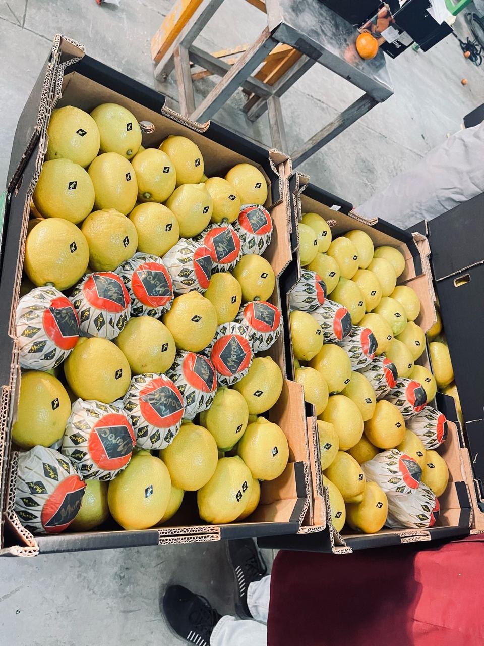 Diamond Fruits